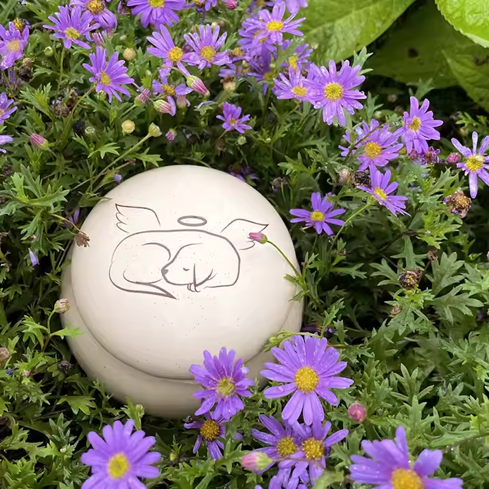 Angel Wings Ceramic Urn – Pet Crematorium Aruba